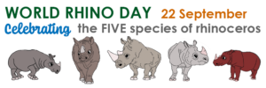 Project Rhino for Greater One-Horned Rhinoceros | Kaziranga National ...
